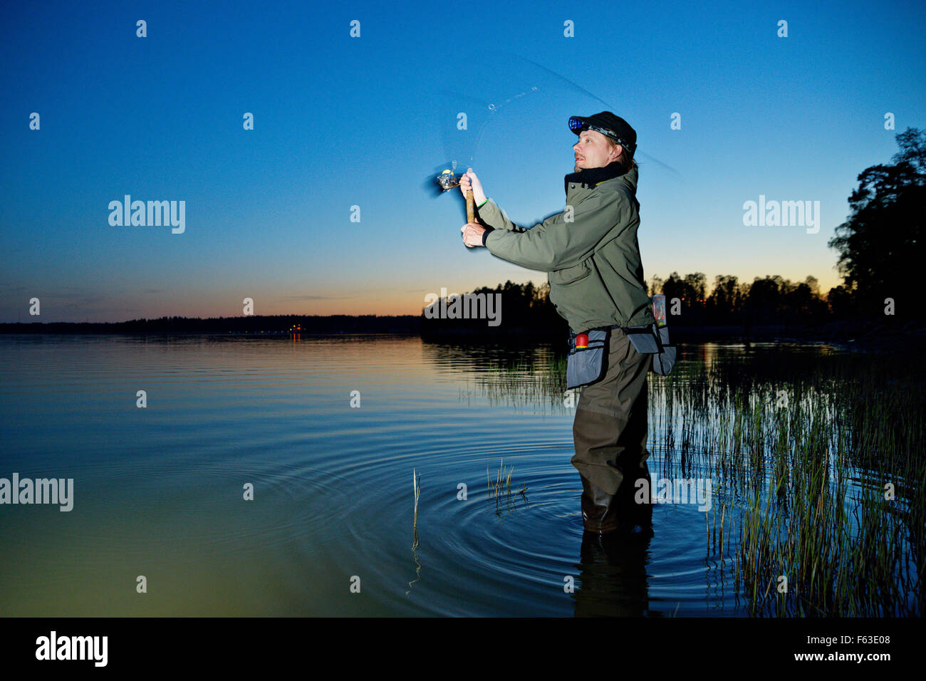 Species competition hi-res stock photography and images - Alamy