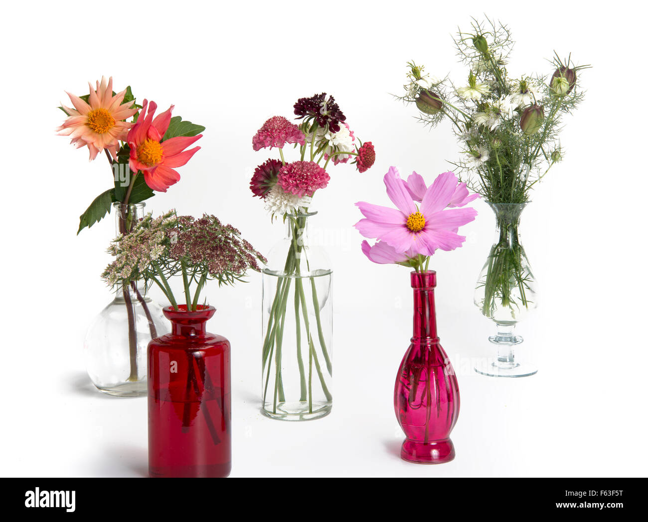 vases of summer flowers Stock Photo - Alamy