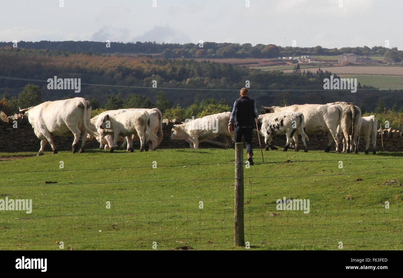 Adam Henson from BBC Countryfile gets back to work on his farm, after ...