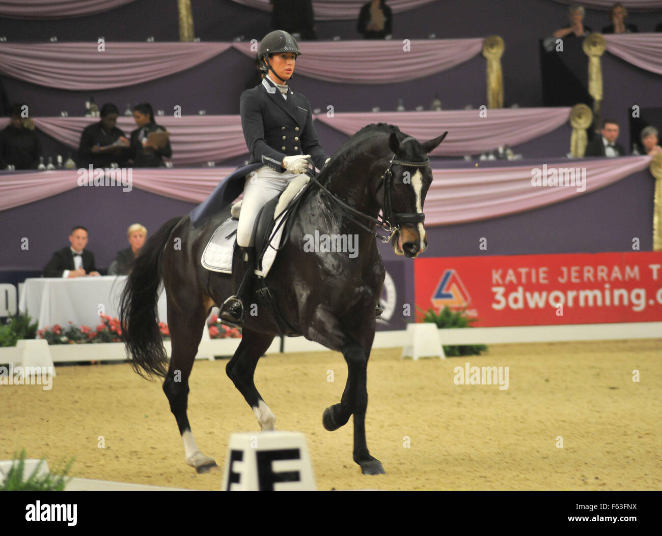 Horse of the Year Show 2015 at NEC Birmingham - Day 3 Featuring: DHI ...