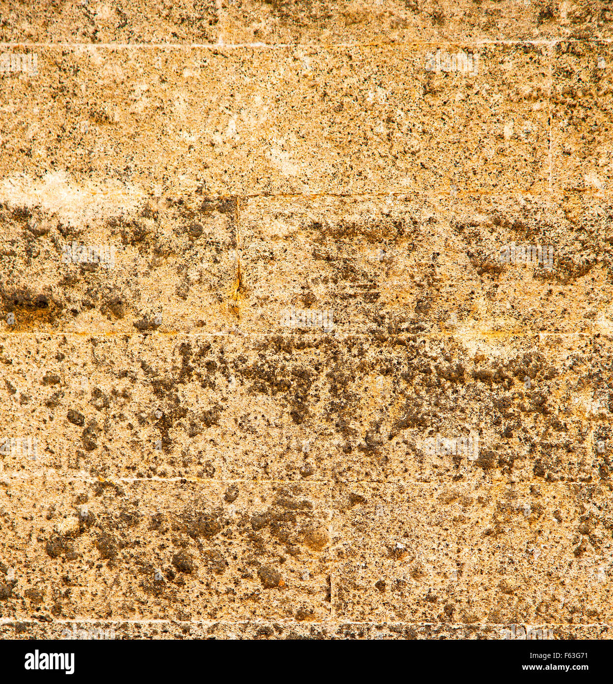 texture wall in africa morocco the old brick construction concrete ...