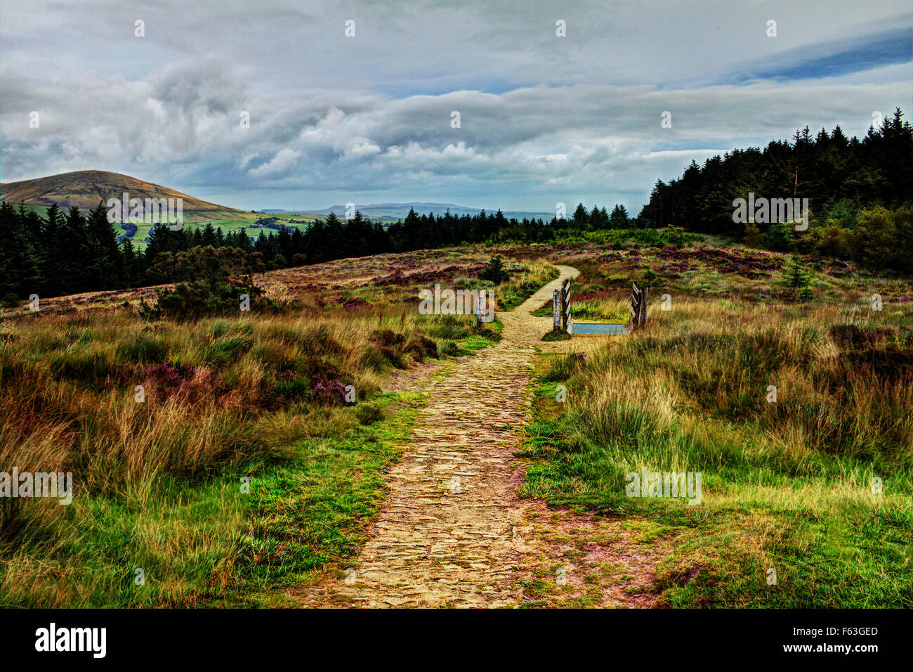 The summit path at Beacon Fell evokes that top of the world feeling ...