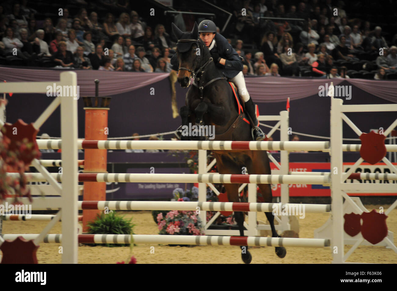 Horse of the Year Show 2015 at NEC Birmingham - Day 3 Featuring: HIGH ...