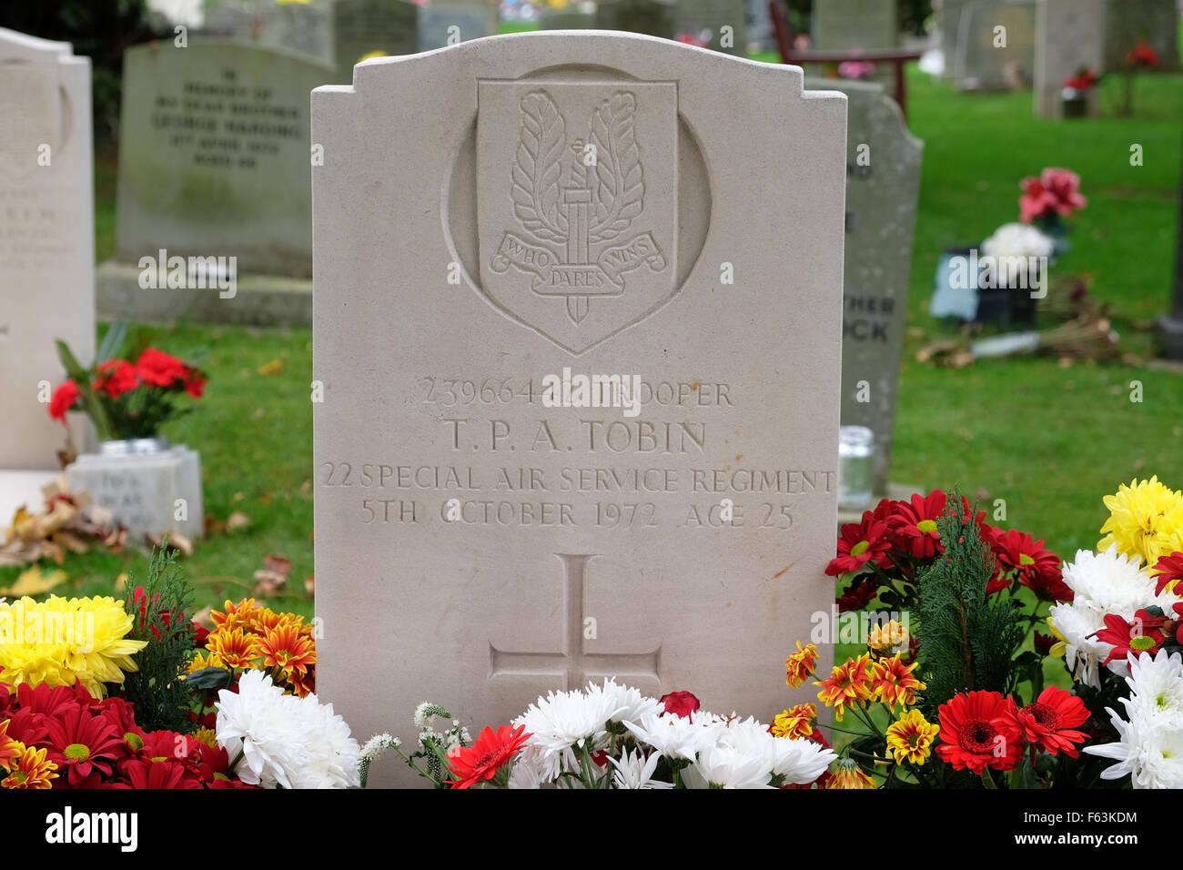 Hereford, UK. 11th November, 2015. Armistice Day - Fresh cut flowers ...