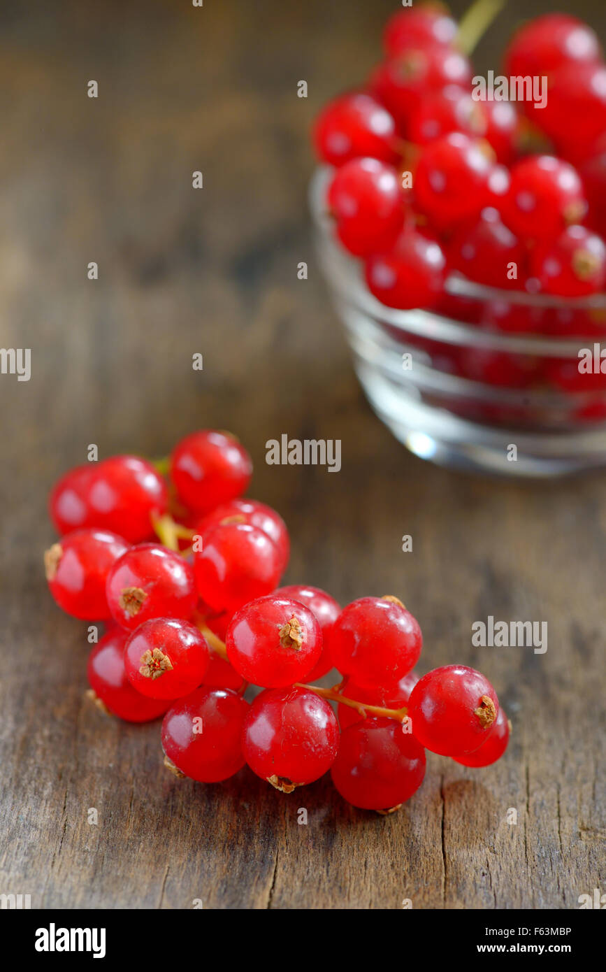 Red currants on green hi-res stock photography and images - Alamy