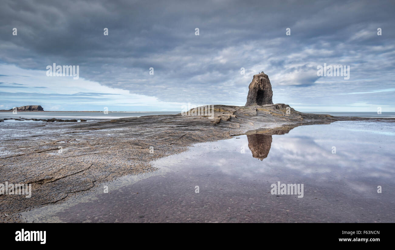 Black Nab Saltwick Bay, Whitby, North Yorkshire UK Stock Photo - Alamy