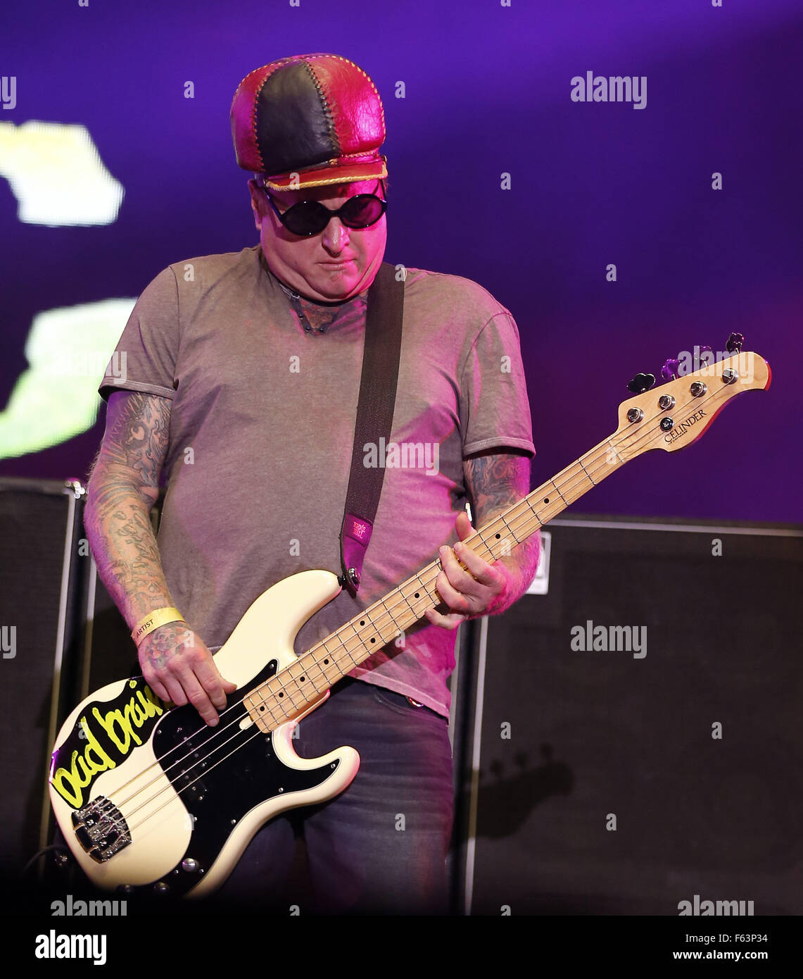 Rock 'N Roll Wine Amplified 2015 - Day 2 Featuring: Sublime With Rome ...