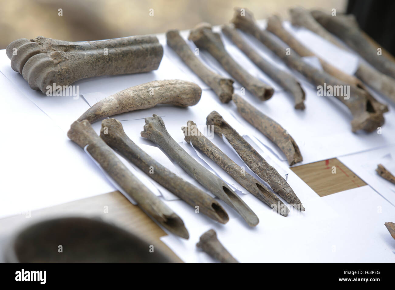 Human bones graveyard hi-res stock photography and images - Alamy