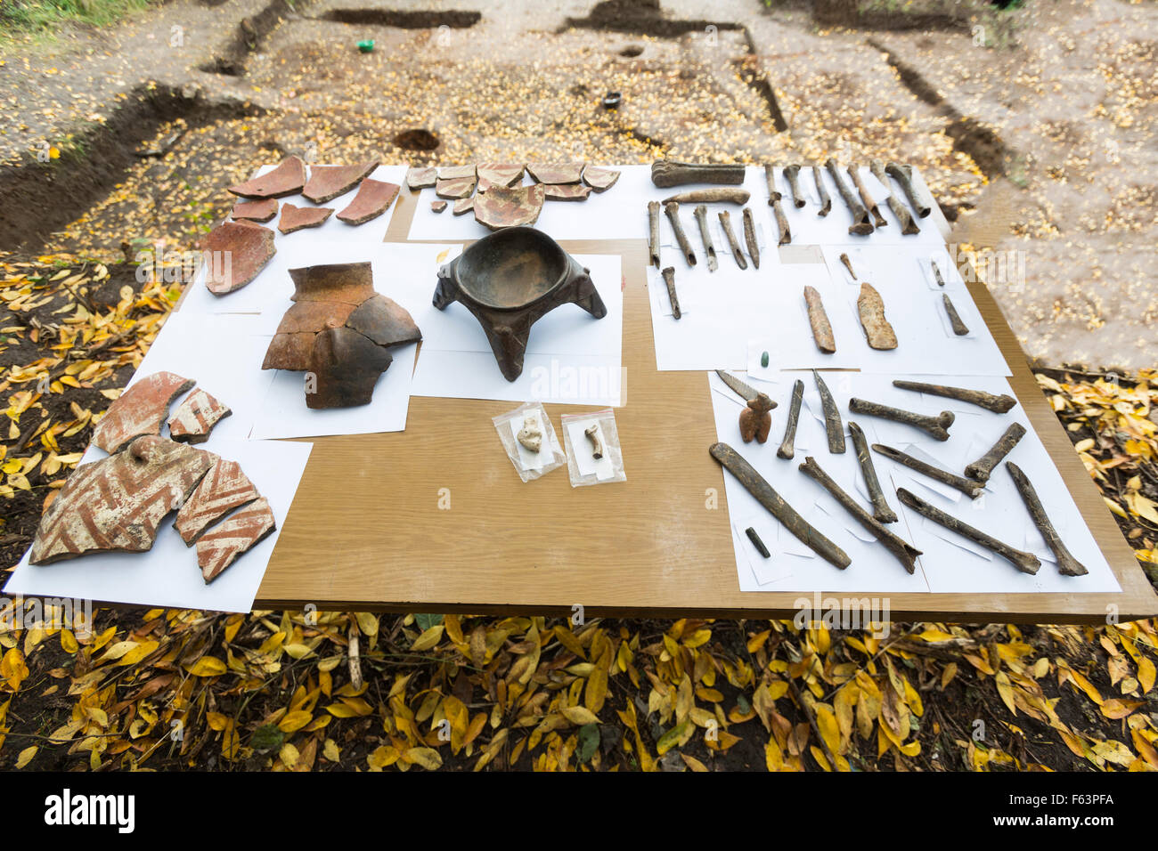 Human bones and pottery are shown on a table from archaeological ...