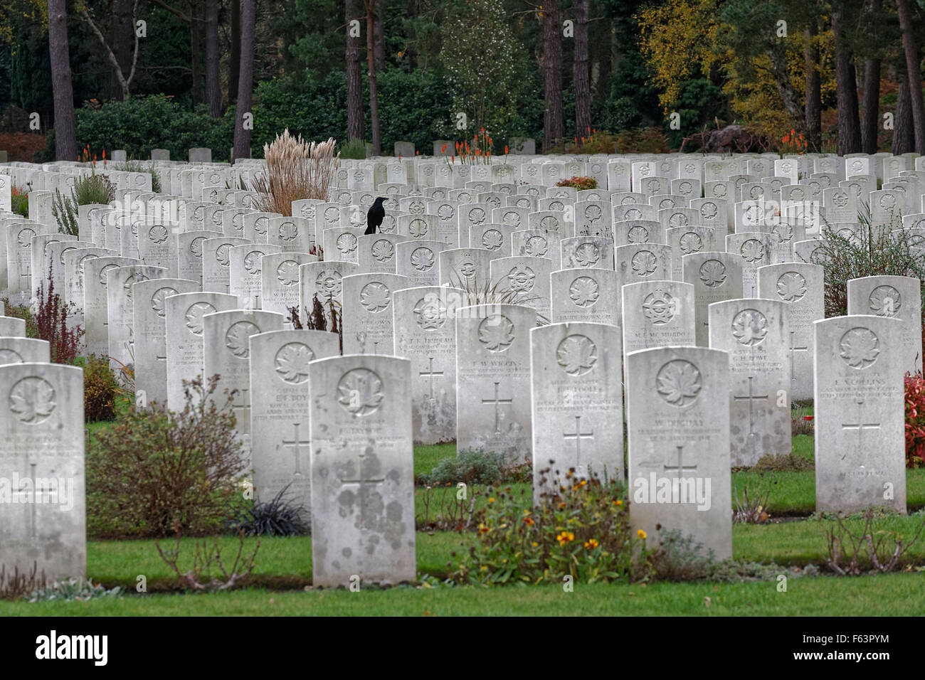 Canadian section of military cemetery hi-res stock photography and ...