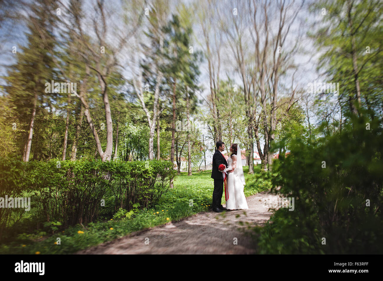 wedding couple. tilt-shift effect Stock Photo - Alamy