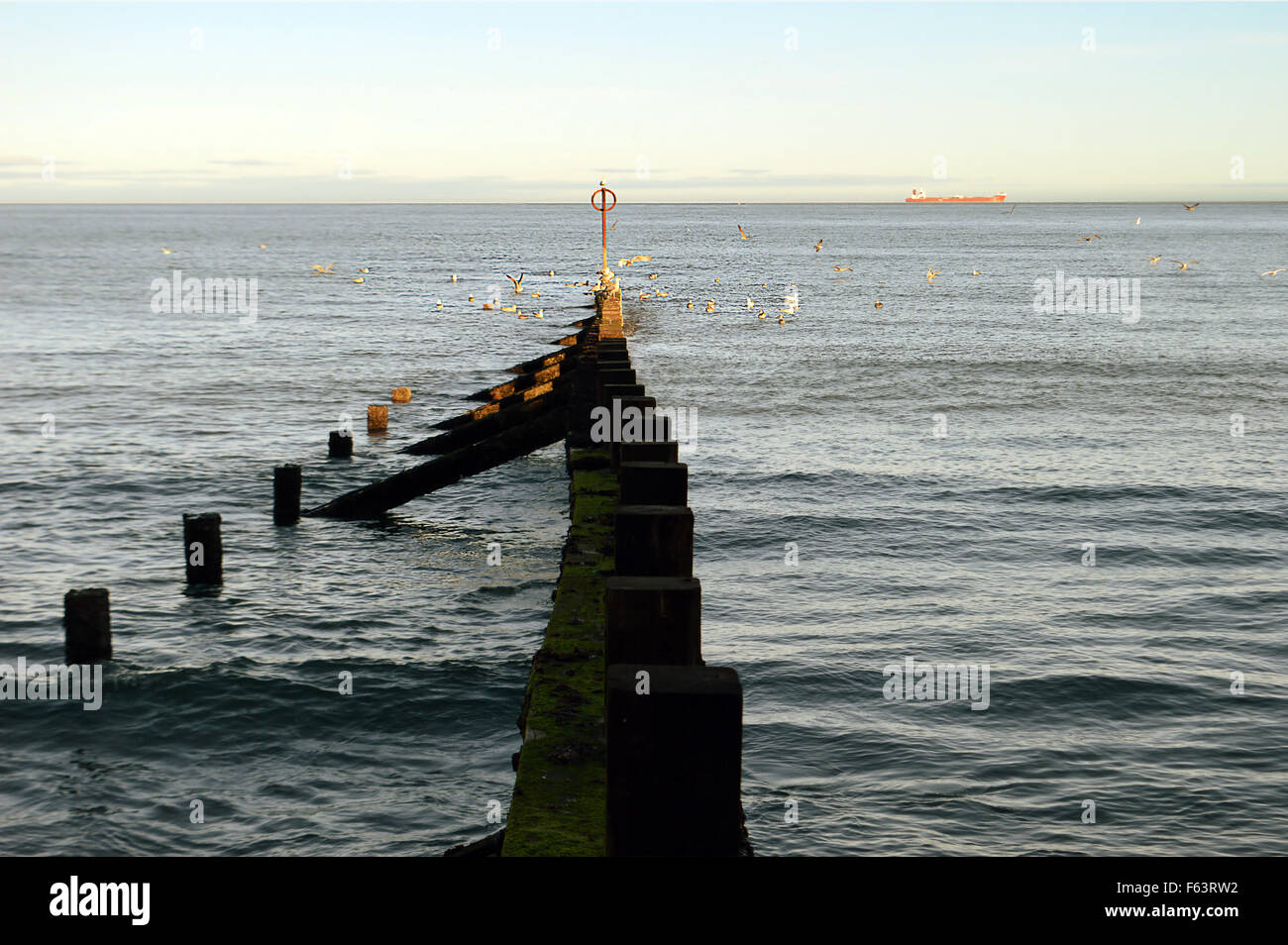 One of the groynes used to protect the beach from sand erosion in ...