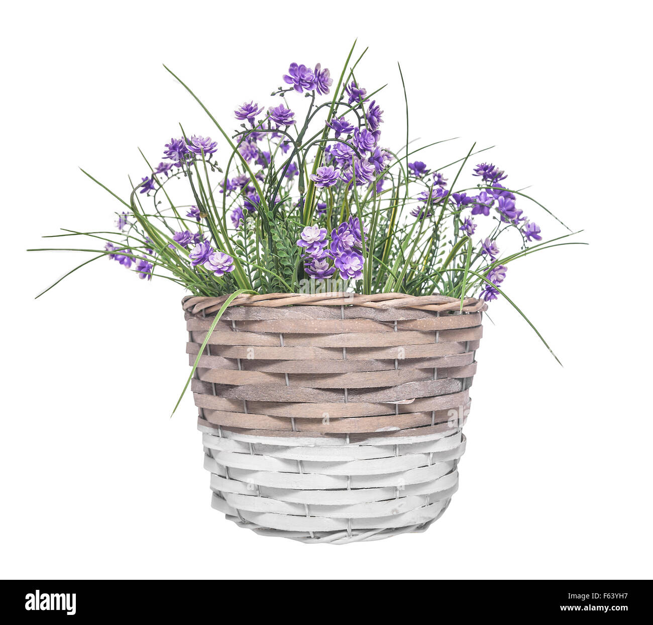 Beautiful blooming colorful flowers Cut Out Stock Images & Pictures - Alamy