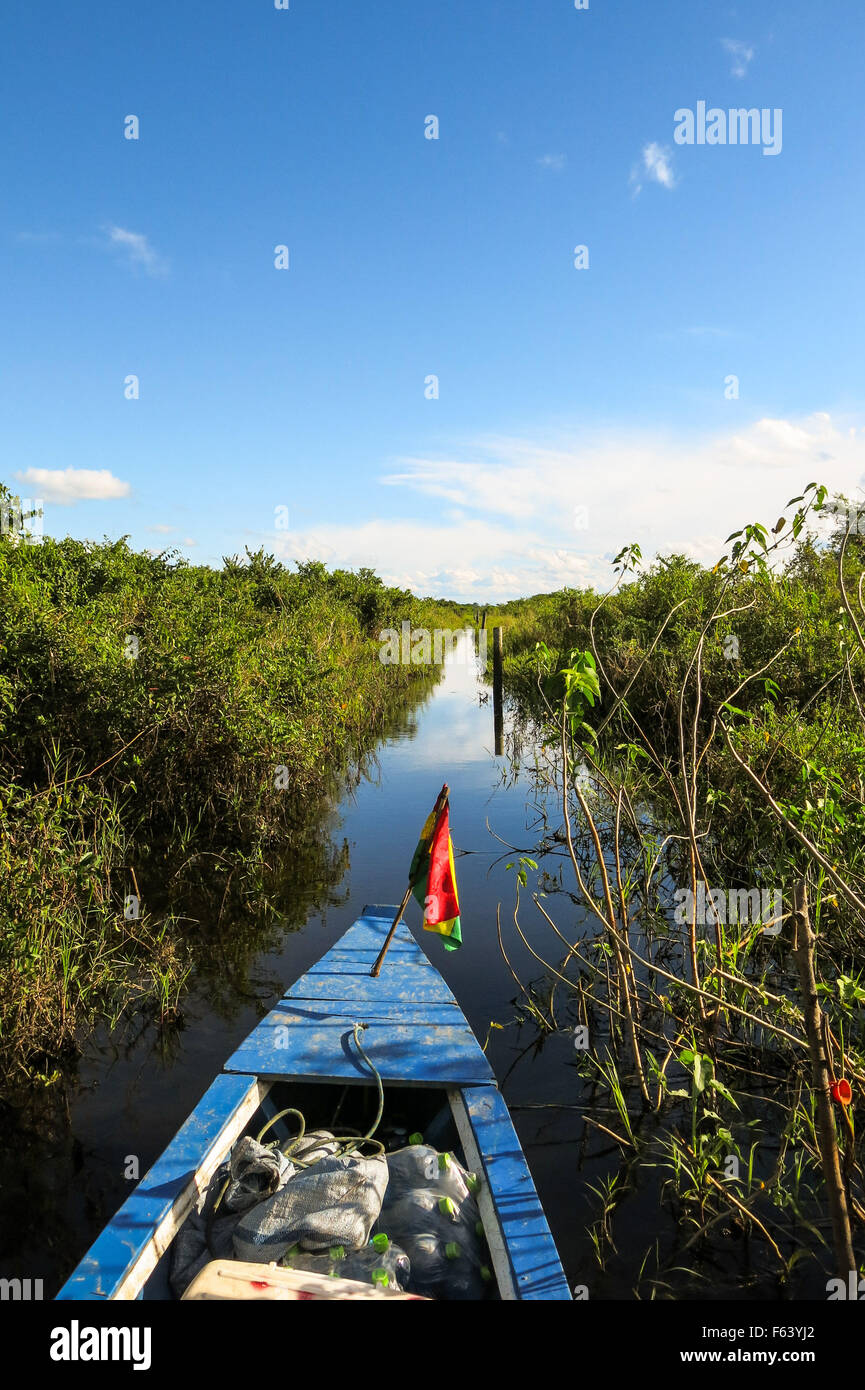 Boat Crossing the Amazon. Beni region, Pampas de Yacuma, Bolivia Stock ...