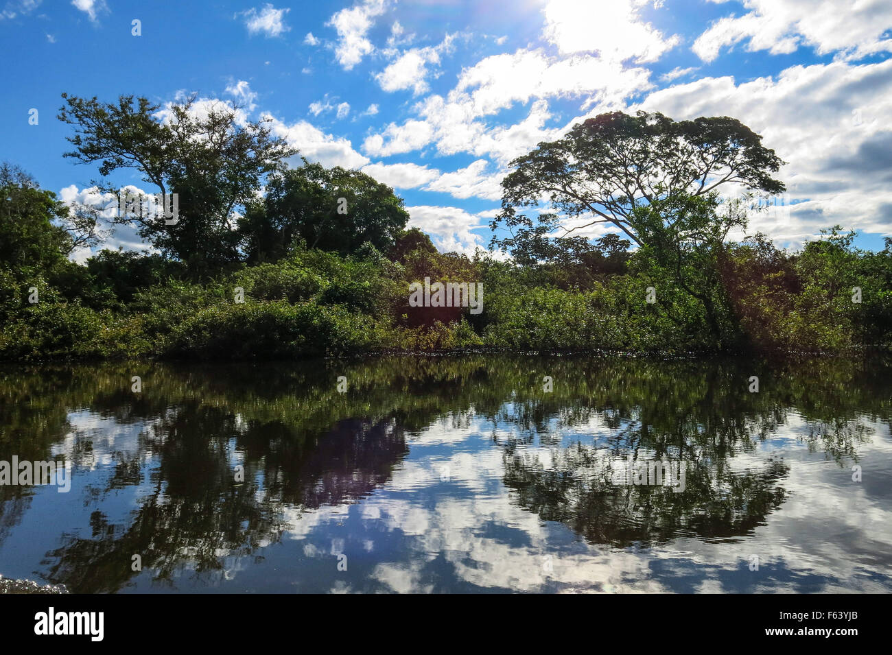 Amazon river bolivia sunrise hi-res stock photography and images - Alamy