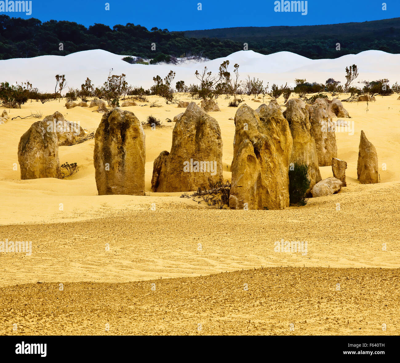 Pinnacles, Nambung National Park, Western Australia Stock Photo - Alamy