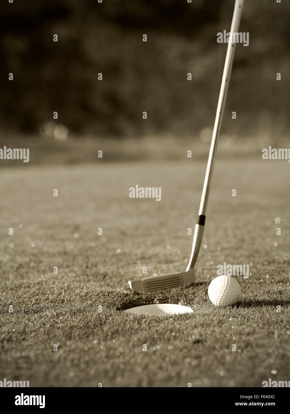 Playing golf ball is near hole vertical sepia tone Stock Photo - Alamy