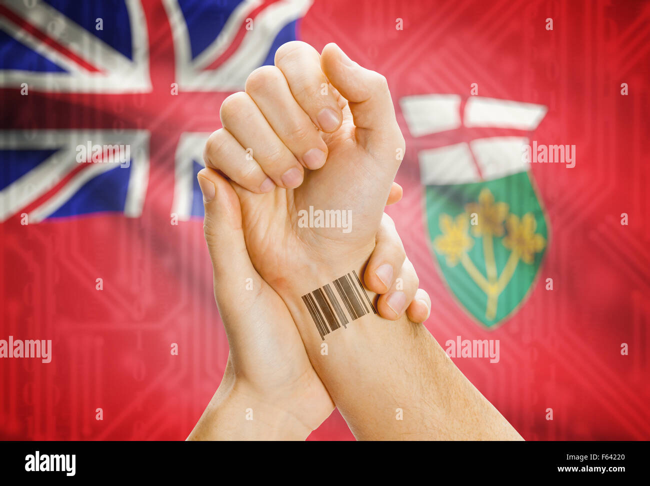 Barcode id number on wrist hi-res stock photography and images - Alamy