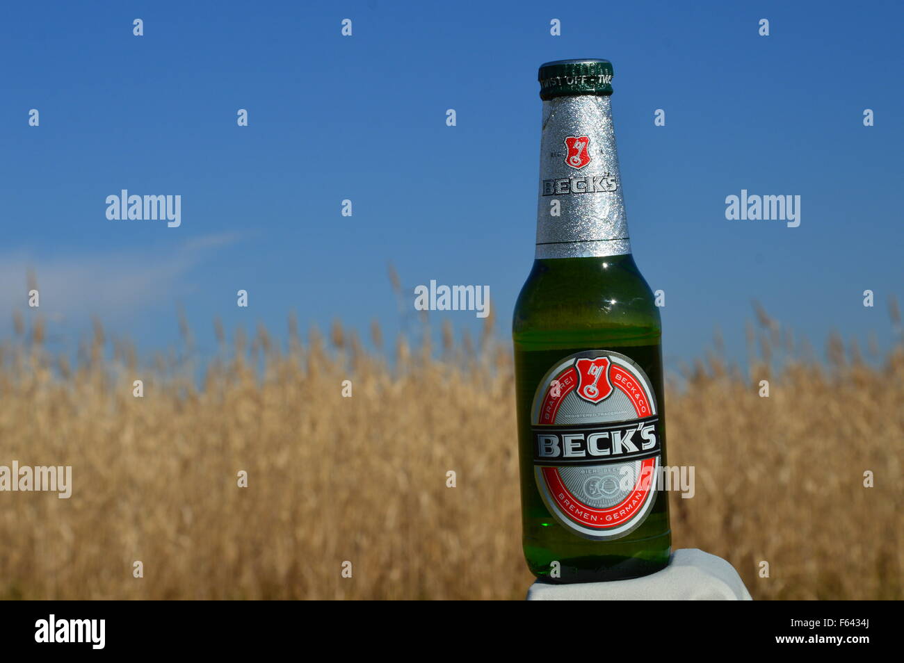 bottle brand beer Beck's of the backgrounds of the plant and blue sky ...