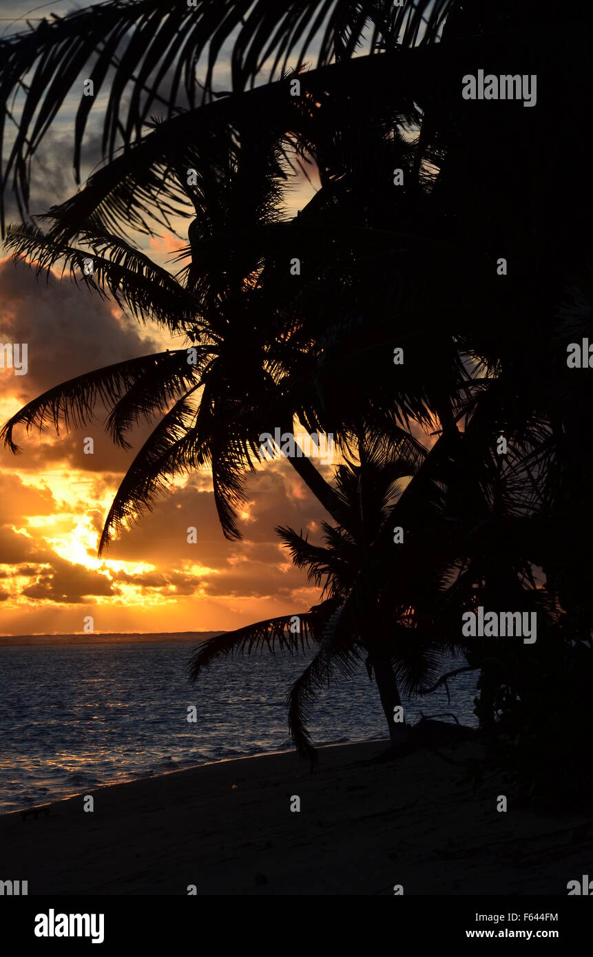 Cook islands golden hi-res stock photography and images - Alamy