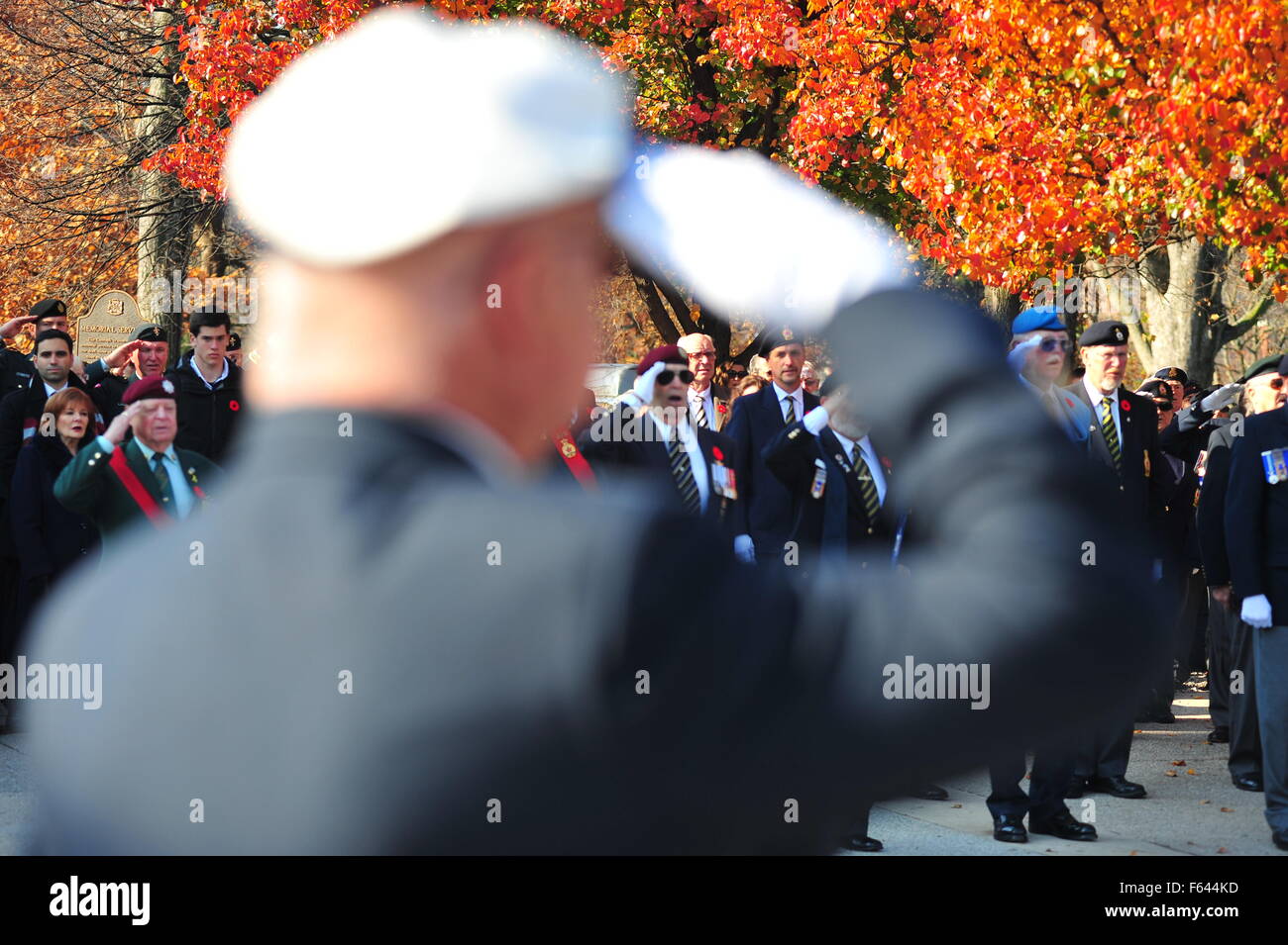 Salute to the vets hi-res stock photography and images - Alamy