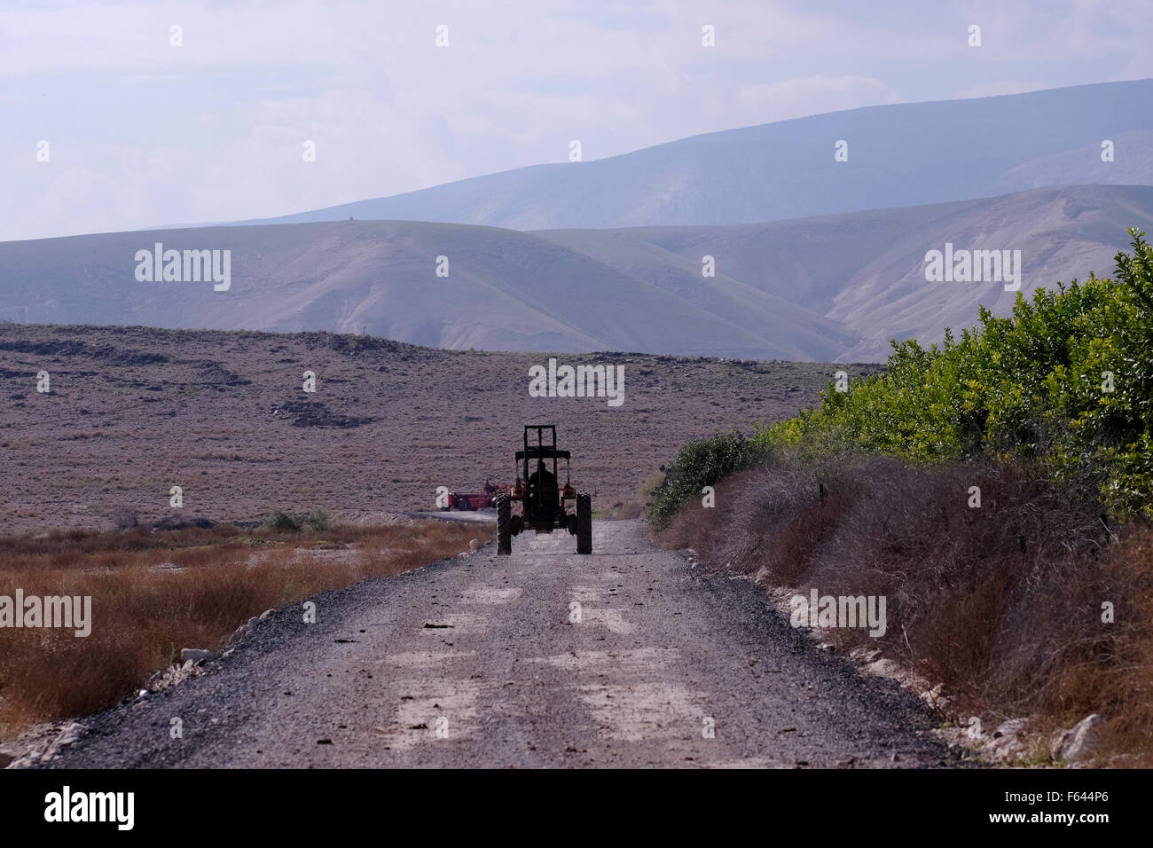 An Israeli farmer riding a tractor in the Jordan Valley Israel Stock ...