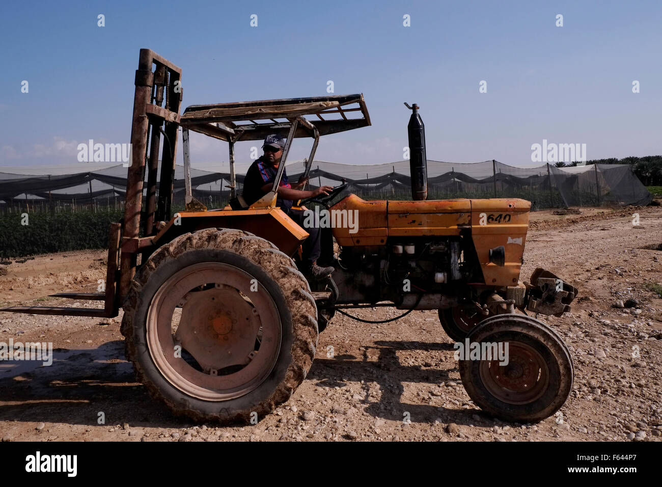 An Israeli farmer riding a tractor in the Jordan Valley Israel Stock ...