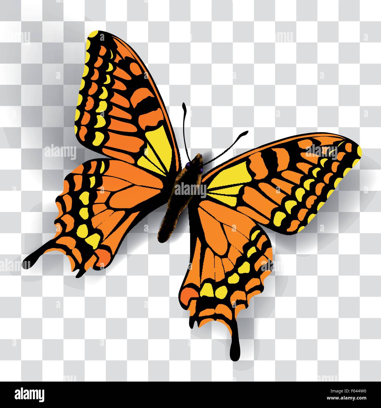 Monarch butterfly top view Stock Vector Images - Alamy