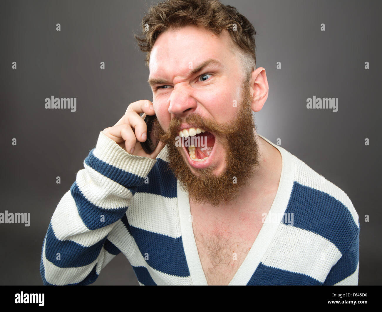 Black chest stripes hi-res stock photography and images - Alamy