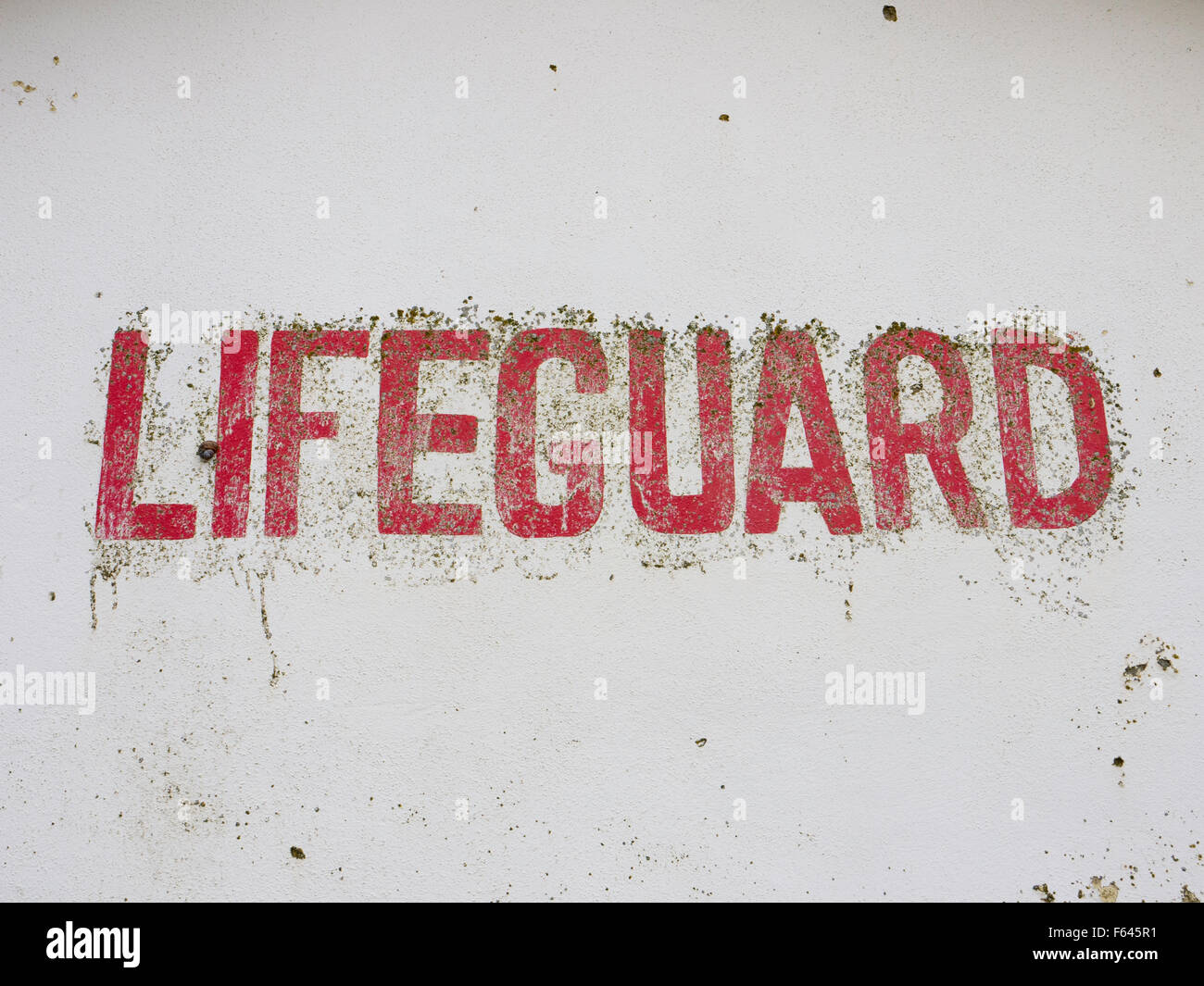 Lifeguard- bold red lettering on a weathered white wall background ...