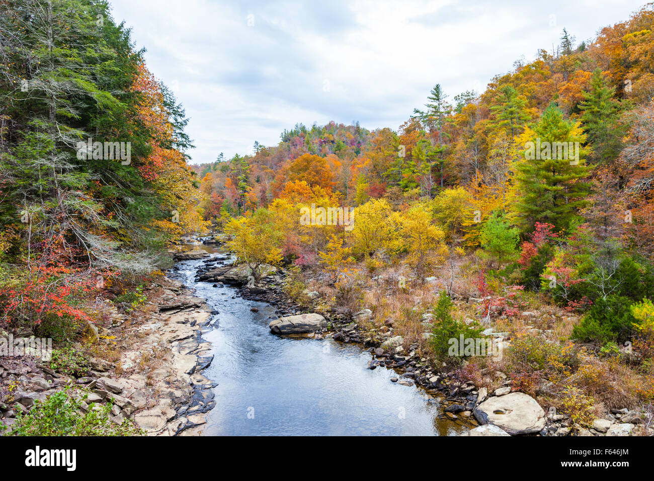 View of Clear Creek from Lilly Bridge at Obed Wild and Scenic River ...