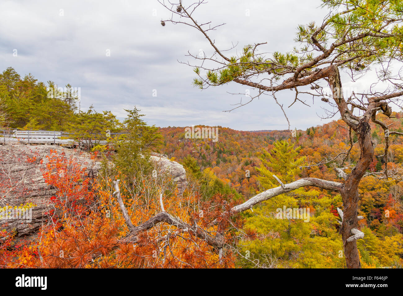 Bluff overlook hi-res stock photography and images - Alamy