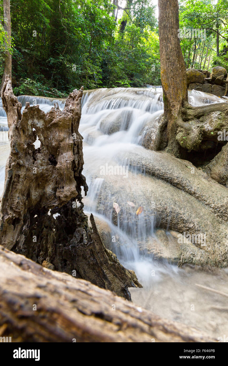 Tropical tree roots and Erawan waterfall Stock Photo - Alamy