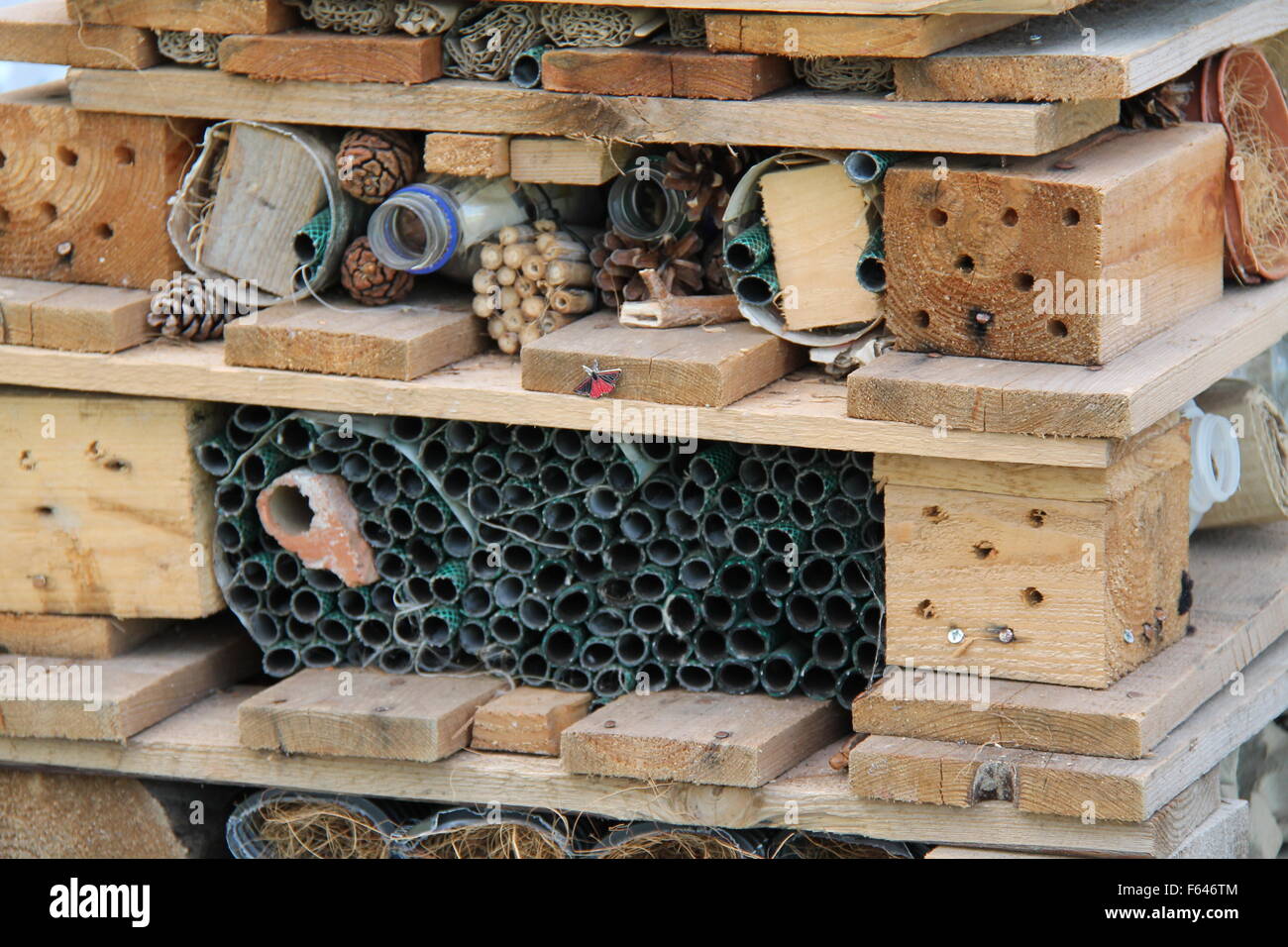 A Wild Animal Shelter Built from Recycled Materials Stock Photo - Alamy