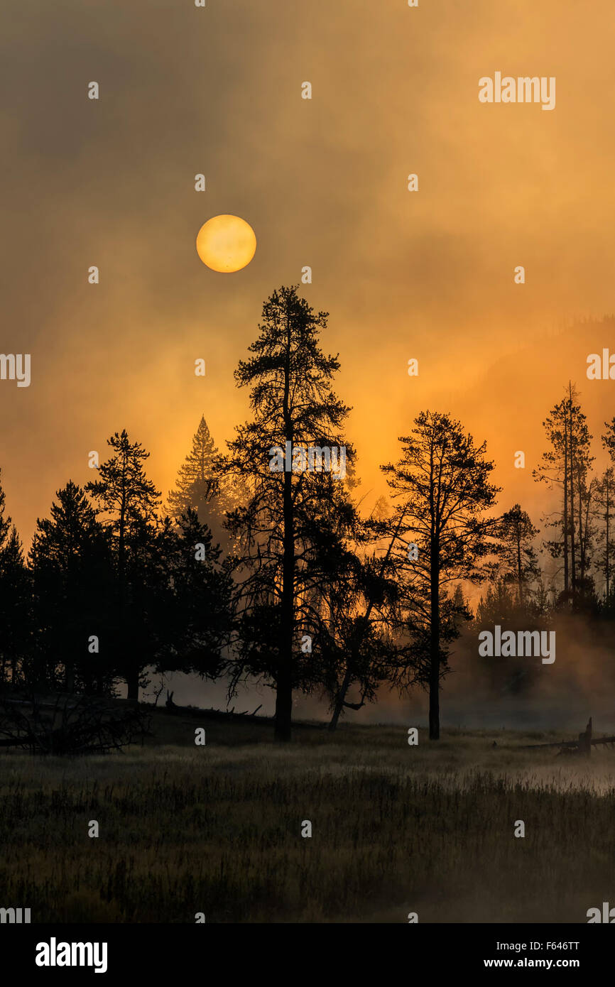 Madison colorful hi-res stock photography and images - Alamy