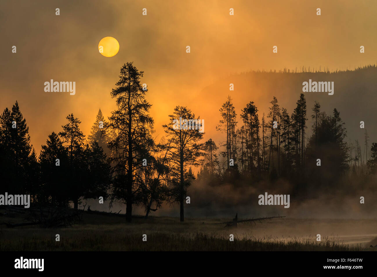 Yellowstone madison hi-res stock photography and images - Alamy