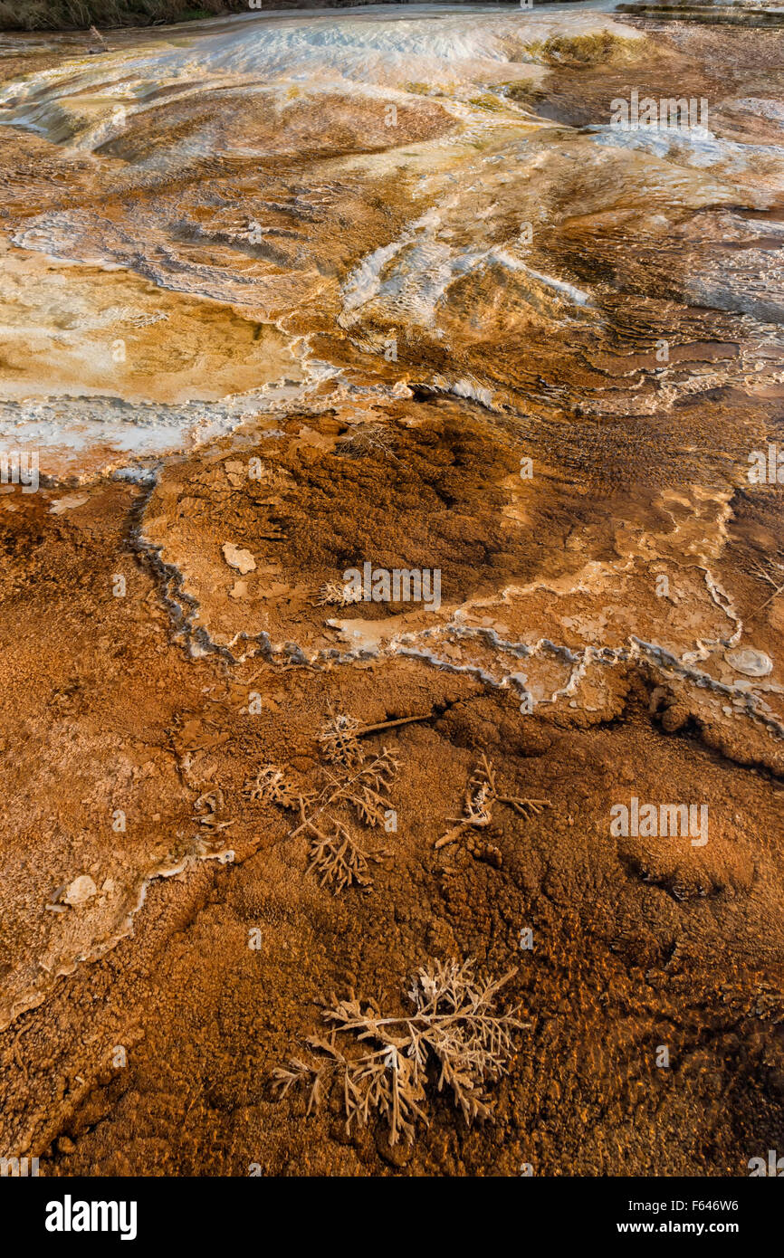 Mammoth Upper terrace Stock Photo - Alamy