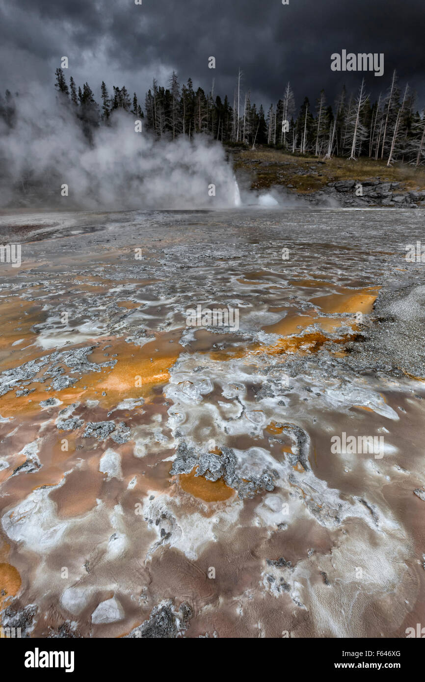 Vent Geyser - Old Faithful geyser trail Stock Photo - Alamy