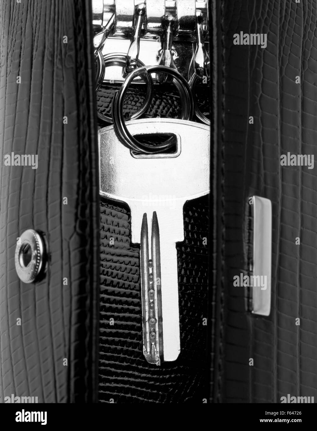 Holder of a security Black and White Stock Photos & Images - Alamy