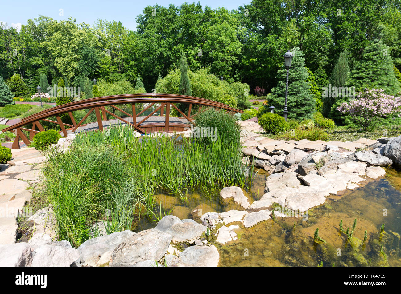 Little wooden bridge over the pond in spring green park Stock Photo - Alamy