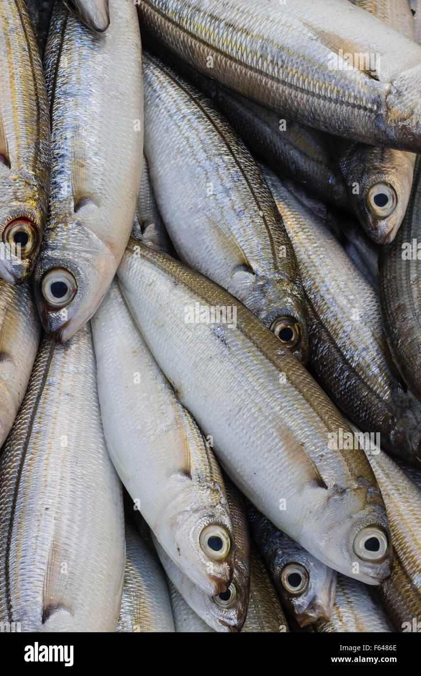 Fresh fish at the market Stock Photo - Alamy