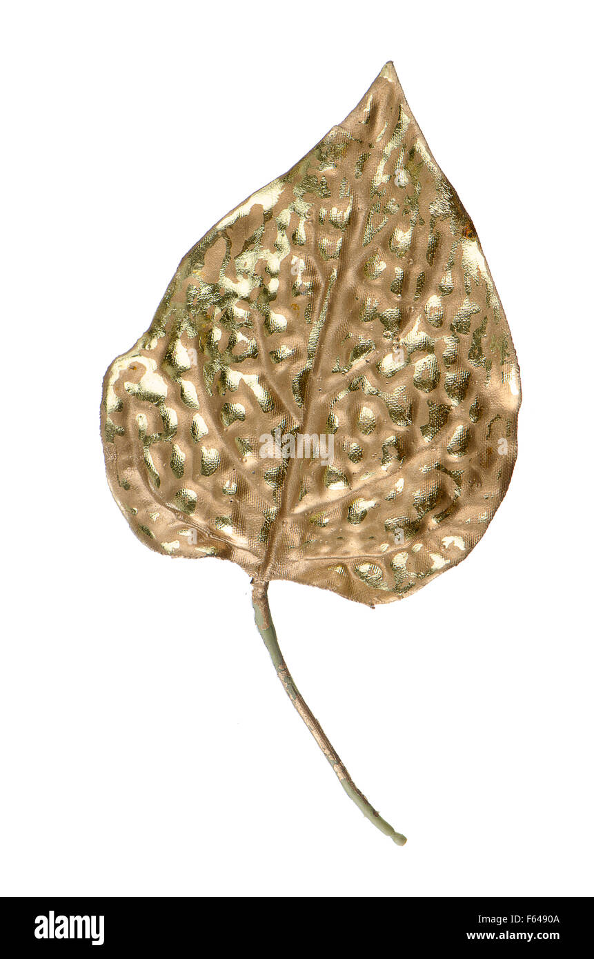 Beautiful decorative golden leaf isolated on white background Stock ...