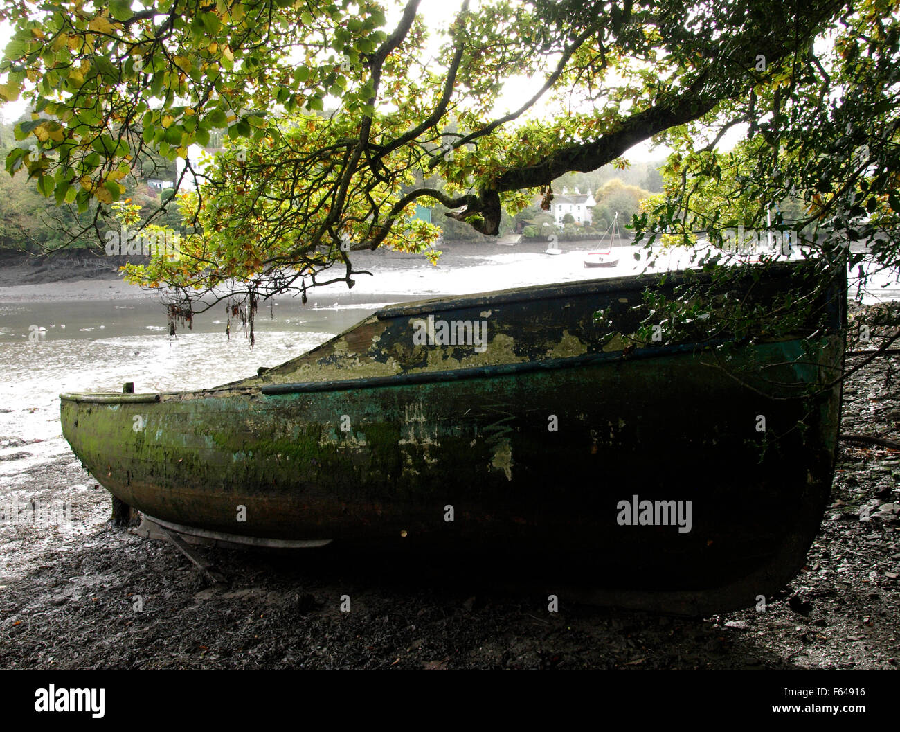 Old boat under the tree on the edge of Mylor Creek, Mylor Bridge ...