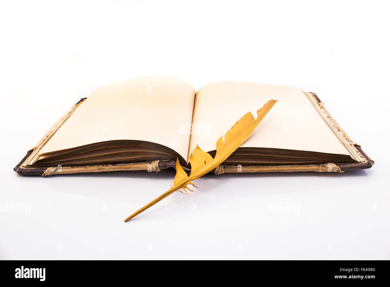 Gold feather and book isolated on white Stock Photo - Alamy