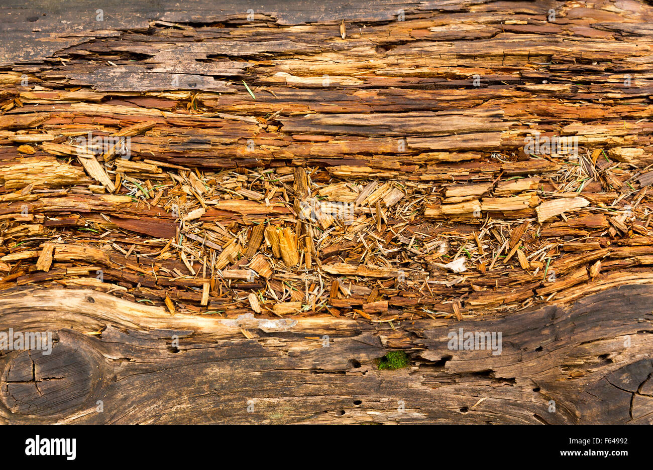Old rotten wood. Background or texture Stock Photo - Alamy