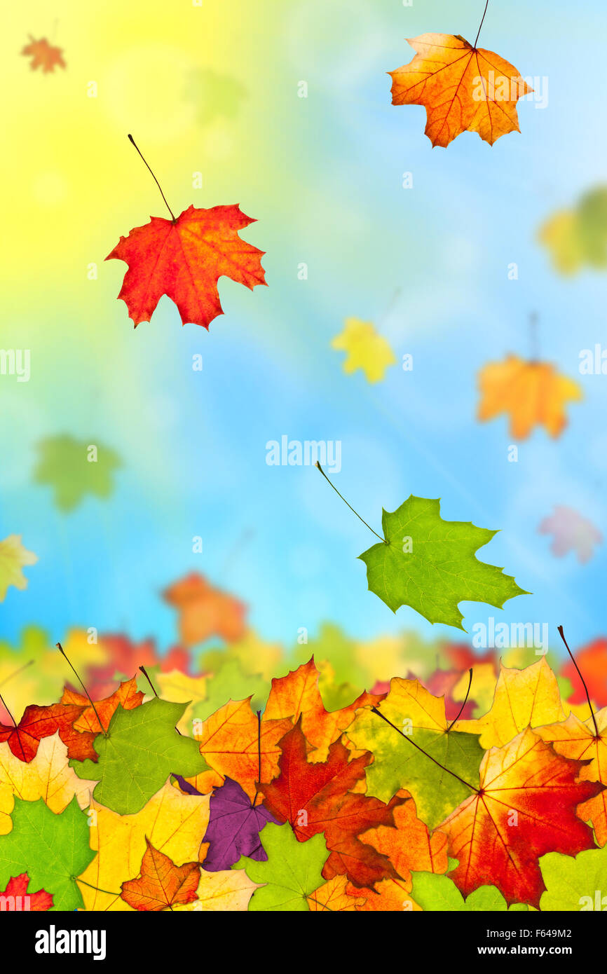 Falling leaves motion hi-res stock photography and images - Alamy