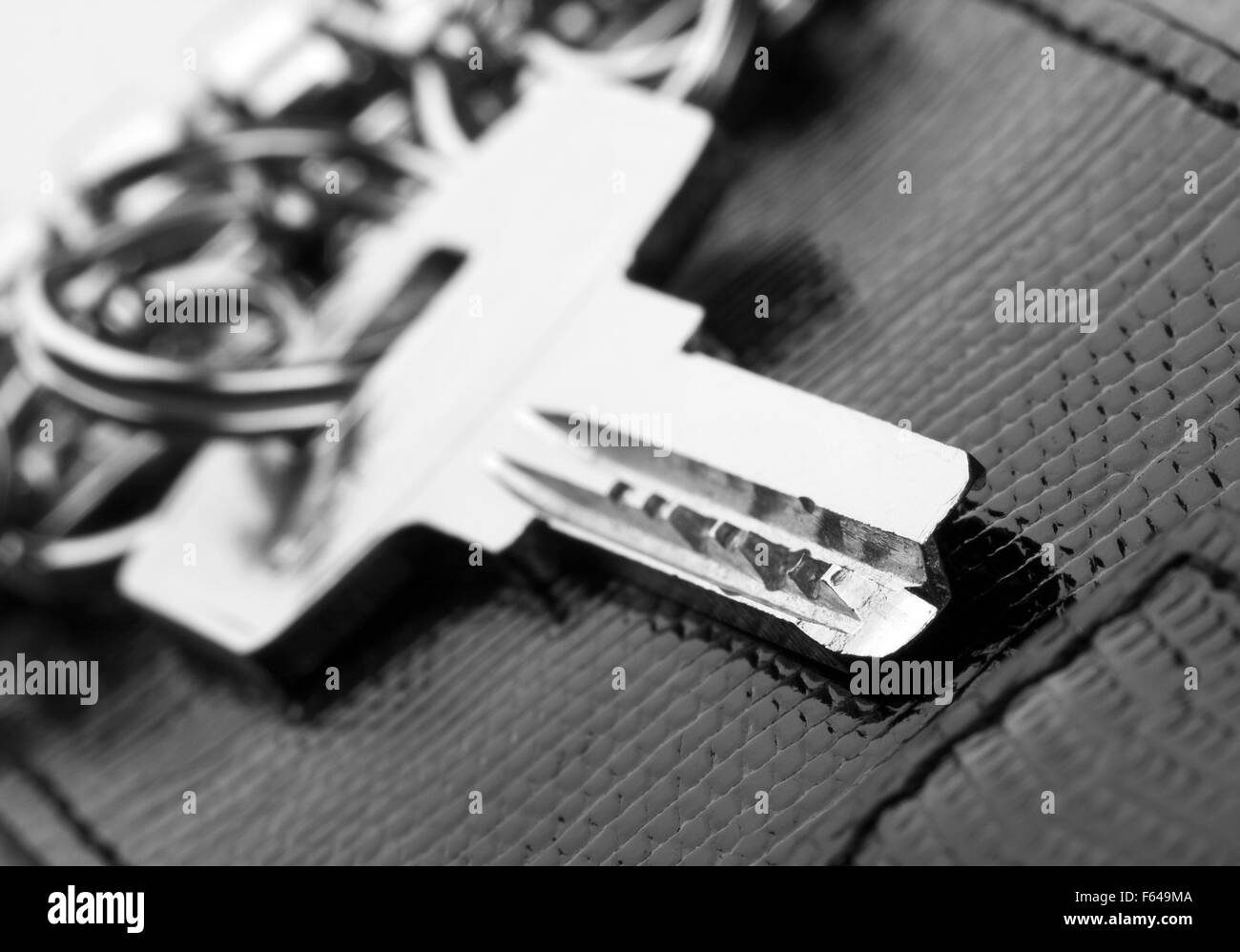 Holder of a security Black and White Stock Photos & Images - Alamy