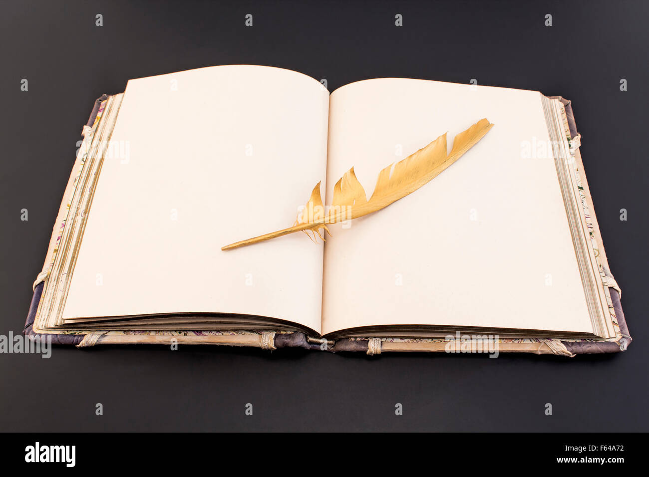Gold feather and book on a black background Stock Photo - Alamy