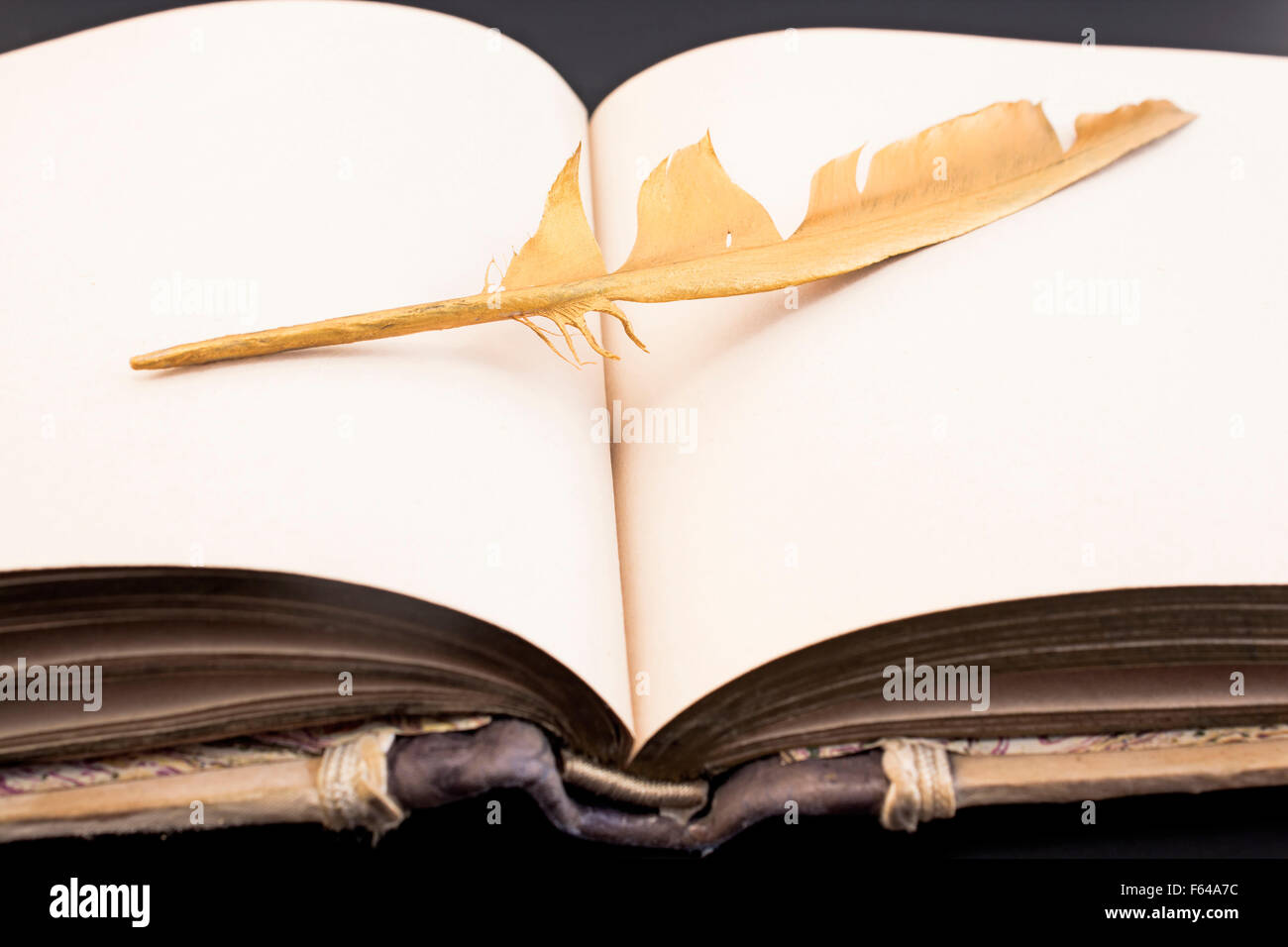Gold feather and book on a black background Stock Photo - Alamy