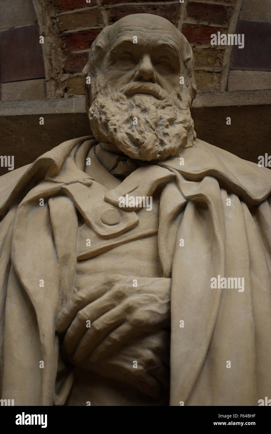 Oxford museum of natural history darwin hi-res stock photography and ...